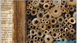 Sejarah Nama Indonesia, Rupiah dan Garuda – Blog Primaindisoft