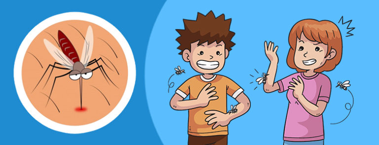 Waspada Malaria, Kenali 7 Gejalanya - Blog Primaindisoft